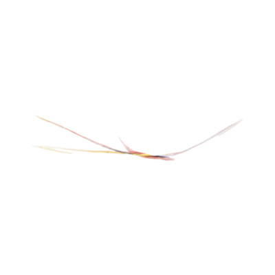 DEALON LYS200-100726-300-2P Single Conductor Hook-Up Wire