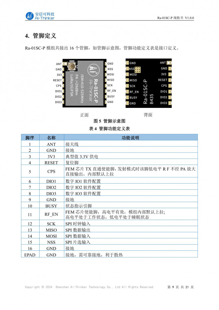 Ra-01SC-P datasheet page 9