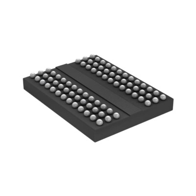 Etron Tech EM6HE08EW9G-10IH