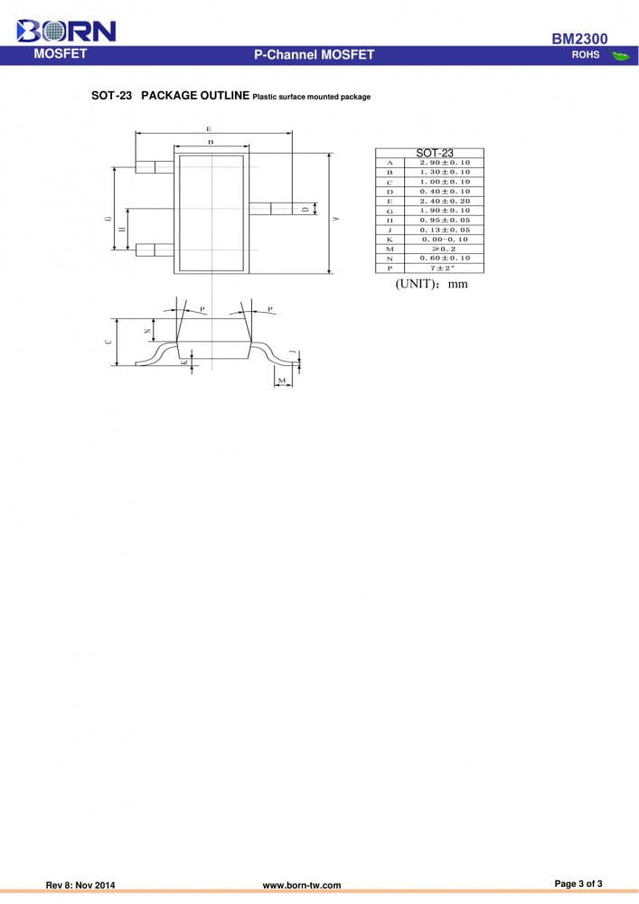 BM2300 datasheet page 3
