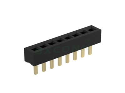 B100US-WSxP