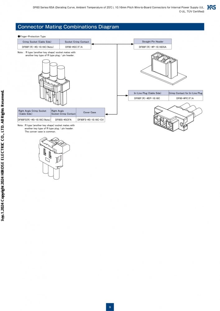 DF60 datasheet page 9