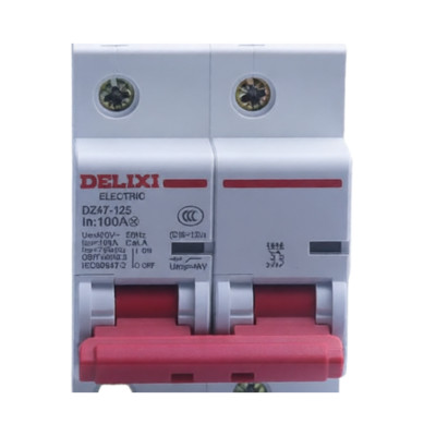 Delixi Electric DZ47V1252D80 Miniature Circuit Breaker