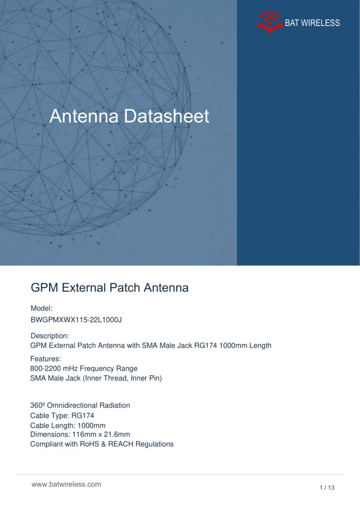 BWGPMXWX115-22L1000J datasheet page 1