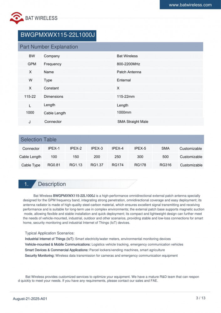 BWGPMXWX115-22L1000J datasheet page 3