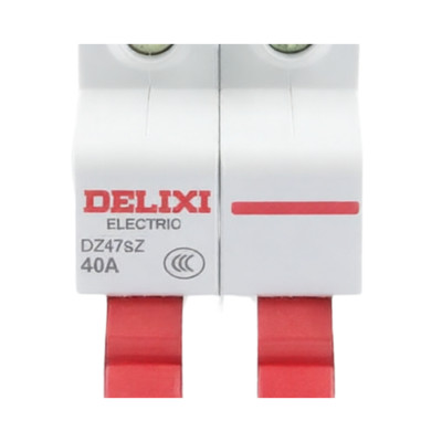 Delixi Electric DZ47SZ2C6 Miniature Circuit Breaker