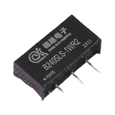 DEXU Electronics B2424LS-1WR3 DC DC Converter Chip