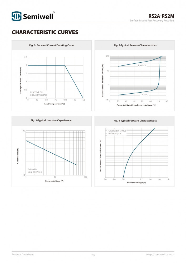 RS2K datasheet page 2