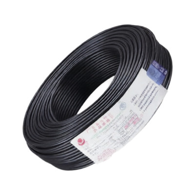 jinlongyu RVS-2X0.75Black