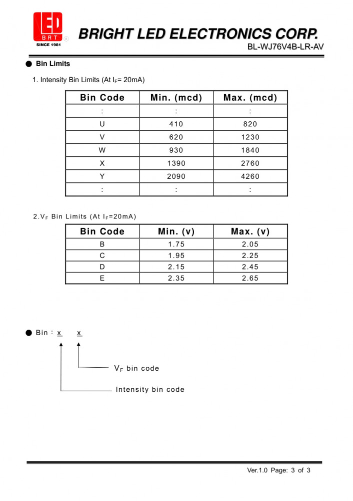 BL-WJ76V4B-LR-AV datasheet page 3