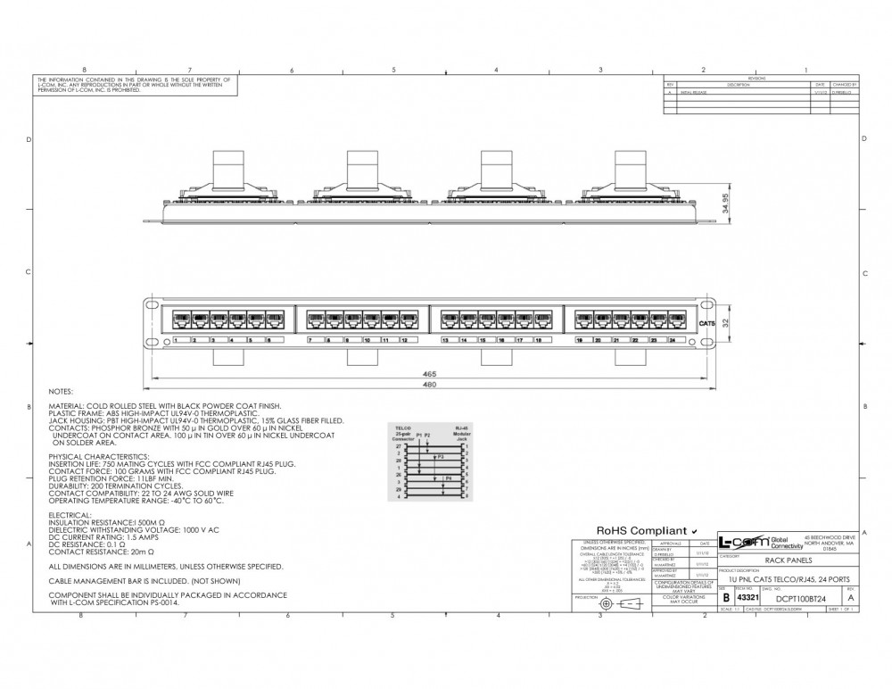 DCPT100BT24 technical document preview