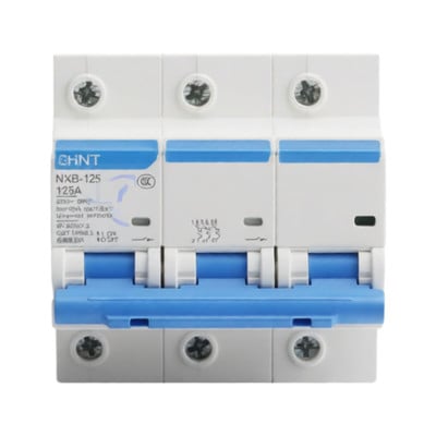 CHINT NXB-125 2P D125 Miniature Circuit Breaker
