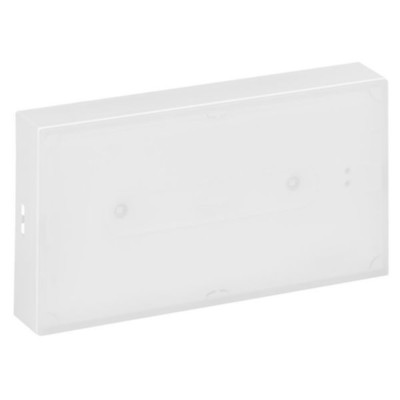 BAP RTC - Twin LEDs Spotlight Emergency Unit - 2500lm output - 1h duration - IP65 protection - Product