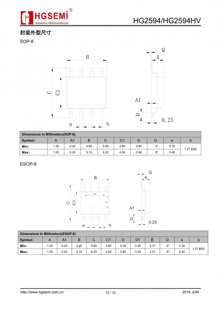 HG2594 datasheet page 10