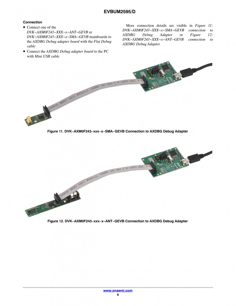 DVK-AXM0F243 evaluation kit manual page 9