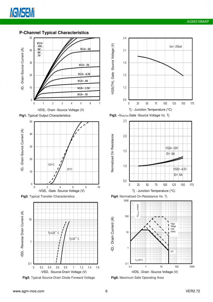 AGM318MAP datasheet page 6