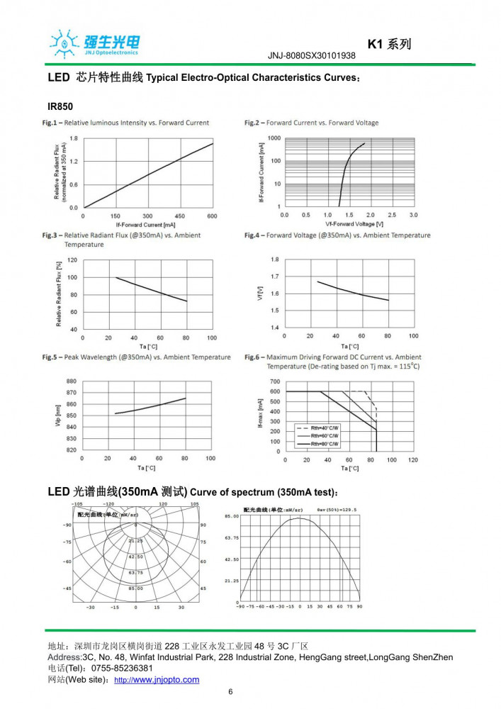 JNJ-8080SX30101938 datasheet page 6
