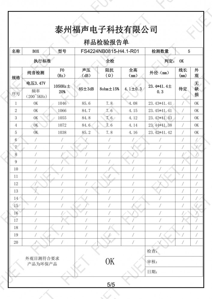 FS4224NB0815-H4.1-R01 inspection report page 2