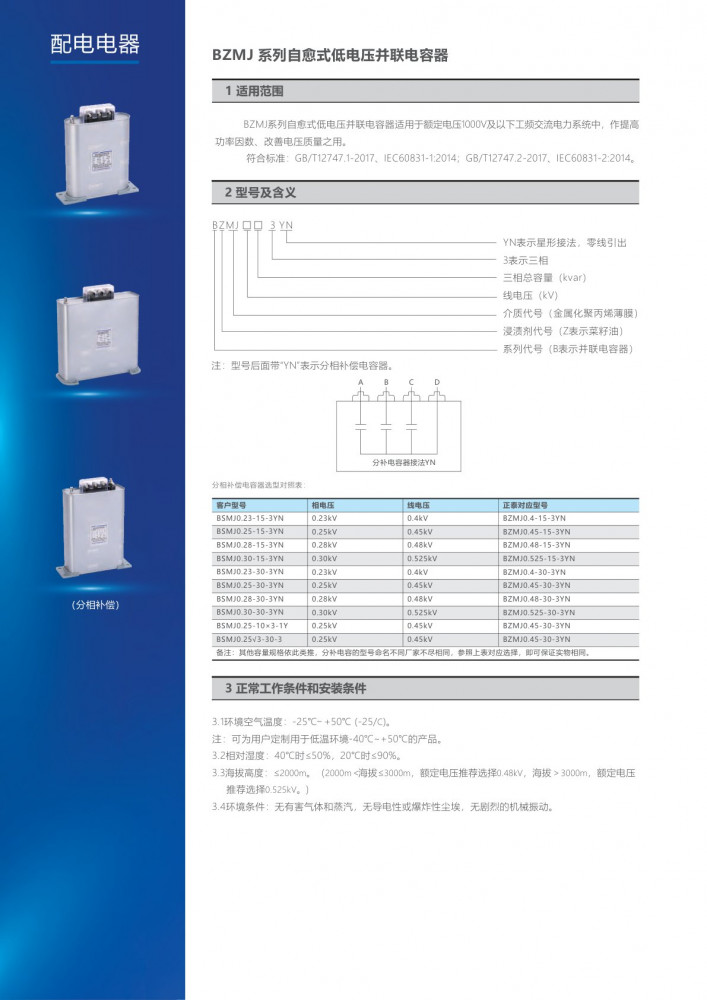 CHINT BZMJ series datasheet page 1