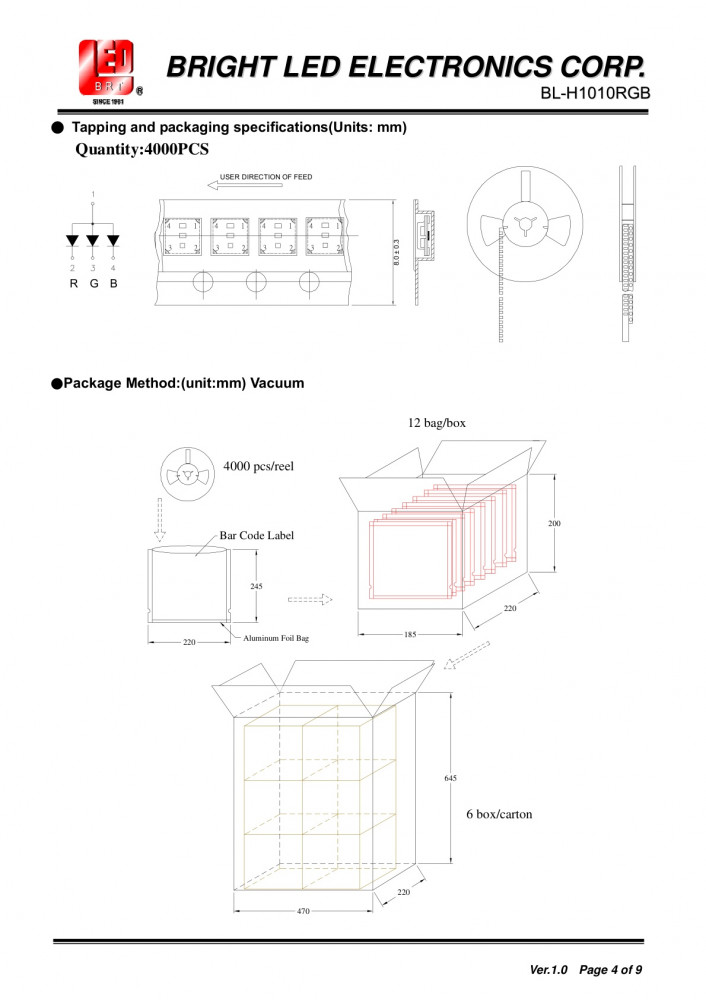 BL-H1010RGB datasheet page 4
