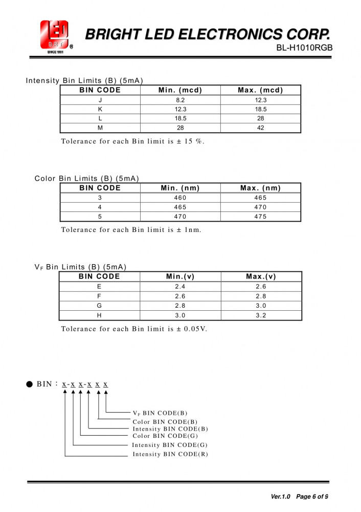 BL-H1010RGB datasheet page 6