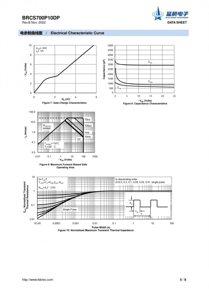 BRCS700P10DP datasheet page 5