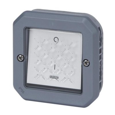 Plexo - Double-pole switch 16AX indicator - Grey LED control - IP55 IK08 matt thermoplastic - 250V AC 16A terminals for sale