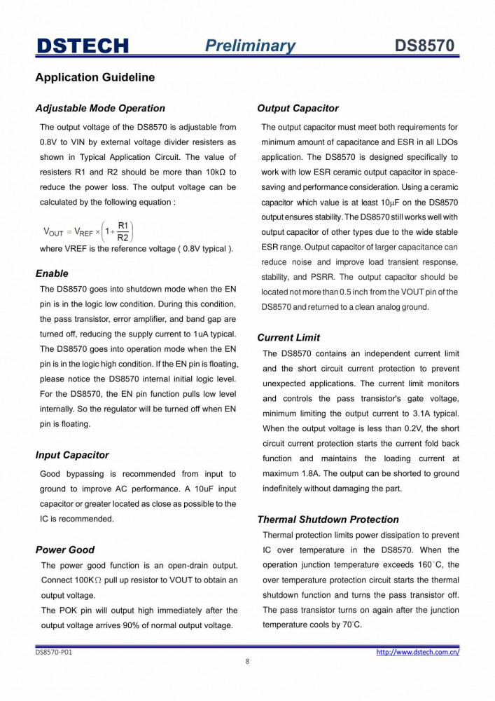DS8570D10 datasheet page 8