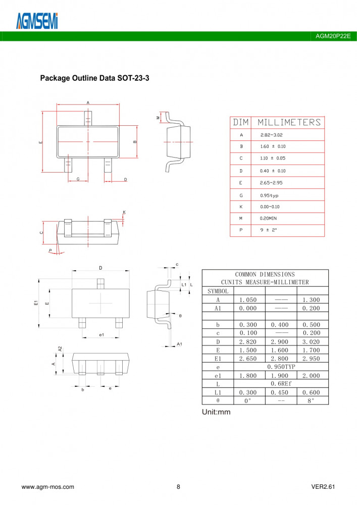 AGM20P22E datasheet page 8