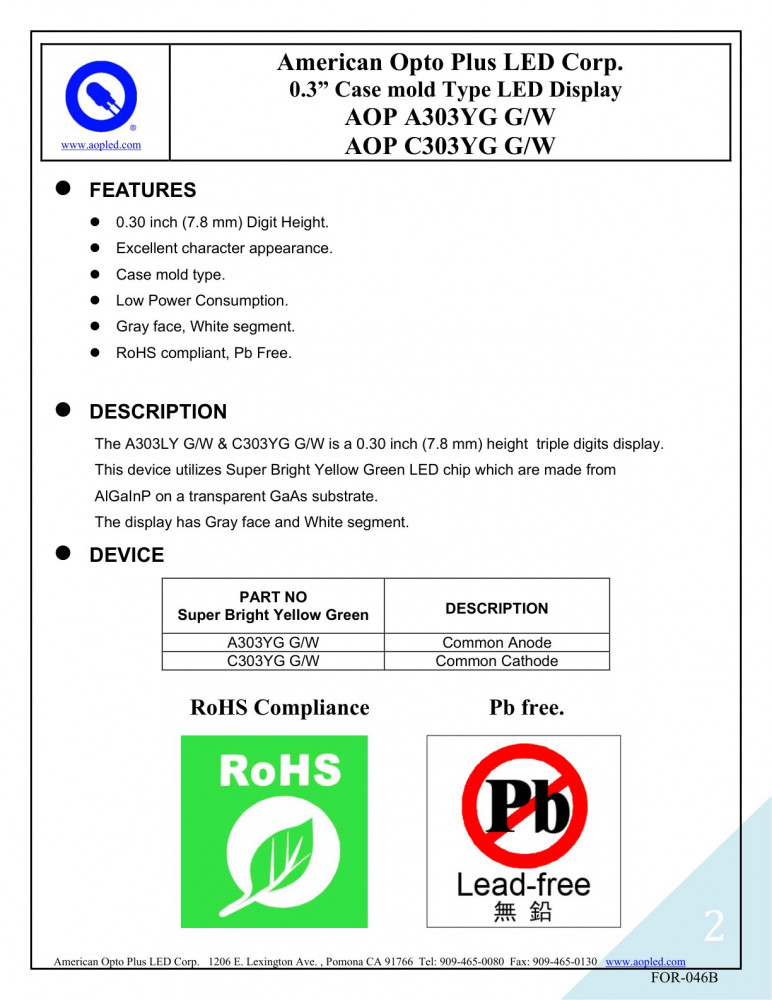 A303YG datasheet page 2
