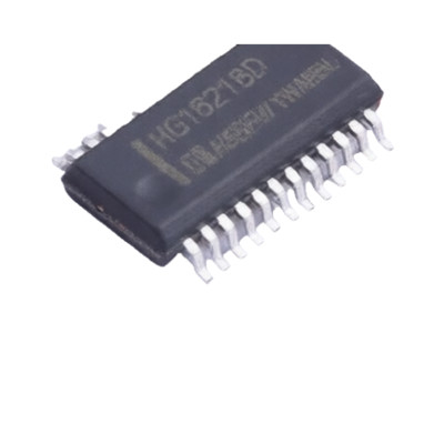 HGSEMI HG1621BM/TR Display Driver Chip