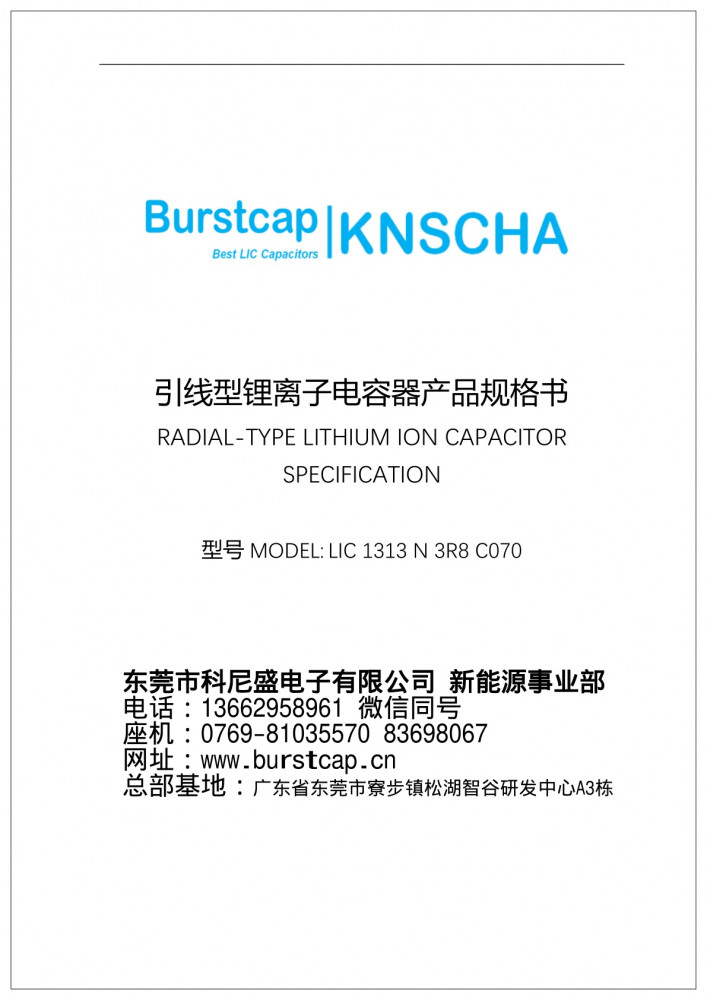 LIC1313N3R8C070 datasheet page 1
