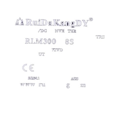 ruidakangDY RLM150-110S48 DC DC Converter Chip