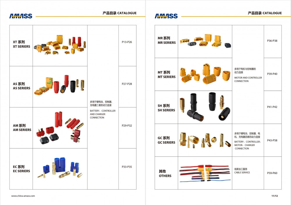 AMASS technical document page 6