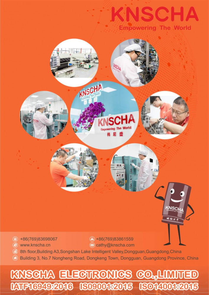 KNSCHA 218EC0024 datasheet page 4