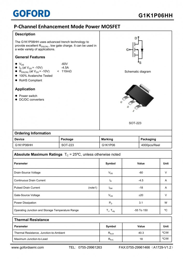 G1K1P06HH datasheet page 1