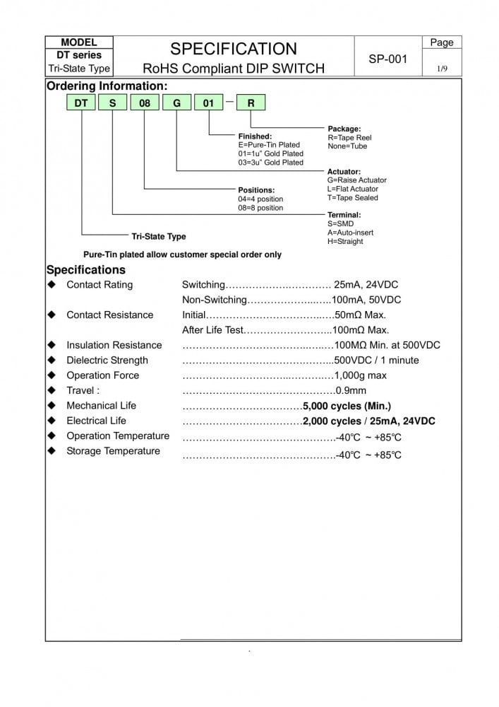 BIWIN DTS10GE datasheet page 1