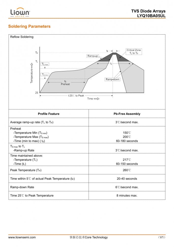 LYQ10BA05UL datasheet page 4