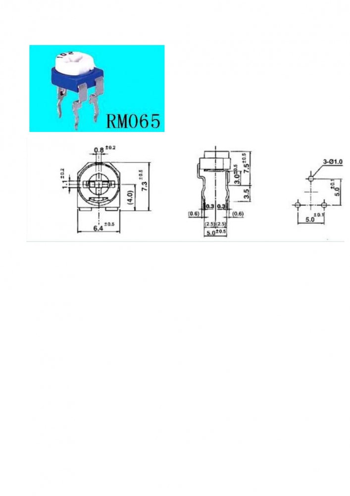 BOCHEN RM065 datasheet page 3