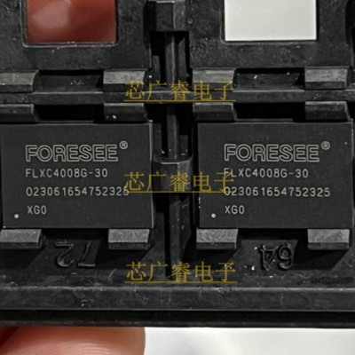 FORESEE FLXC4008G-30 for sale