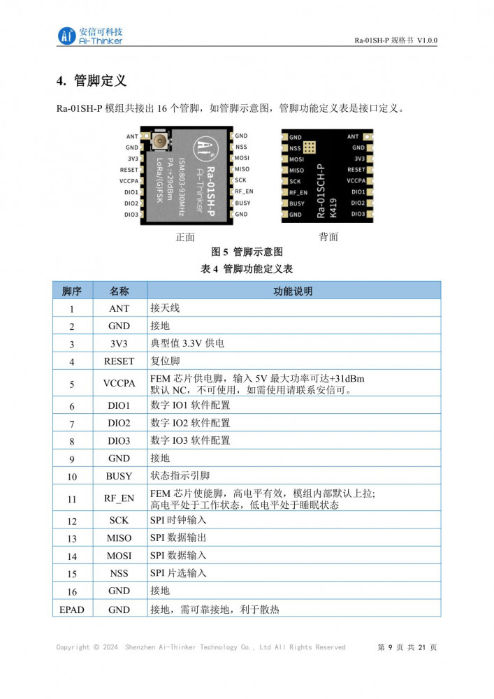 Ra-01SH-P datasheet page 9