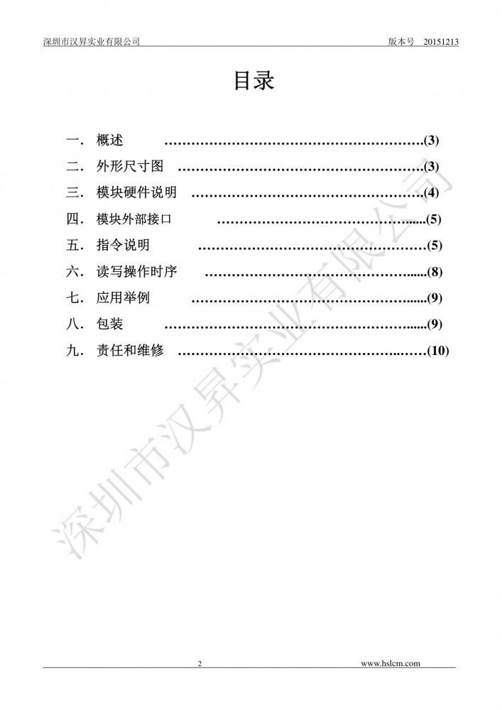 HS12864G19A datasheet page 2