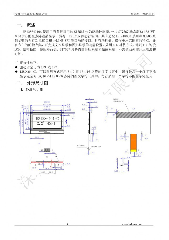 HS12864G19A datasheet page 3
