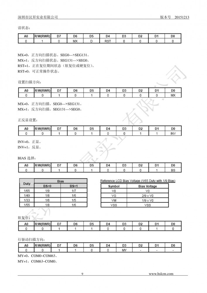 HS12864G19A datasheet page 9
