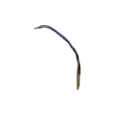L-com NB181608-10FS-UL