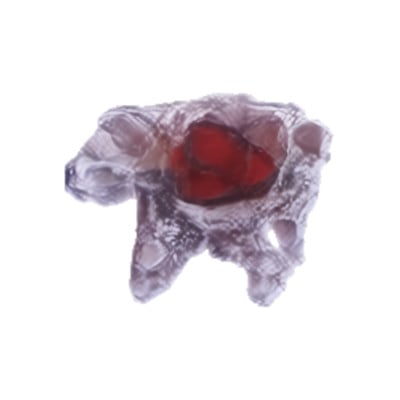 Yuandi TS-1033S-A45B3-C3D2-R Tactile Switch