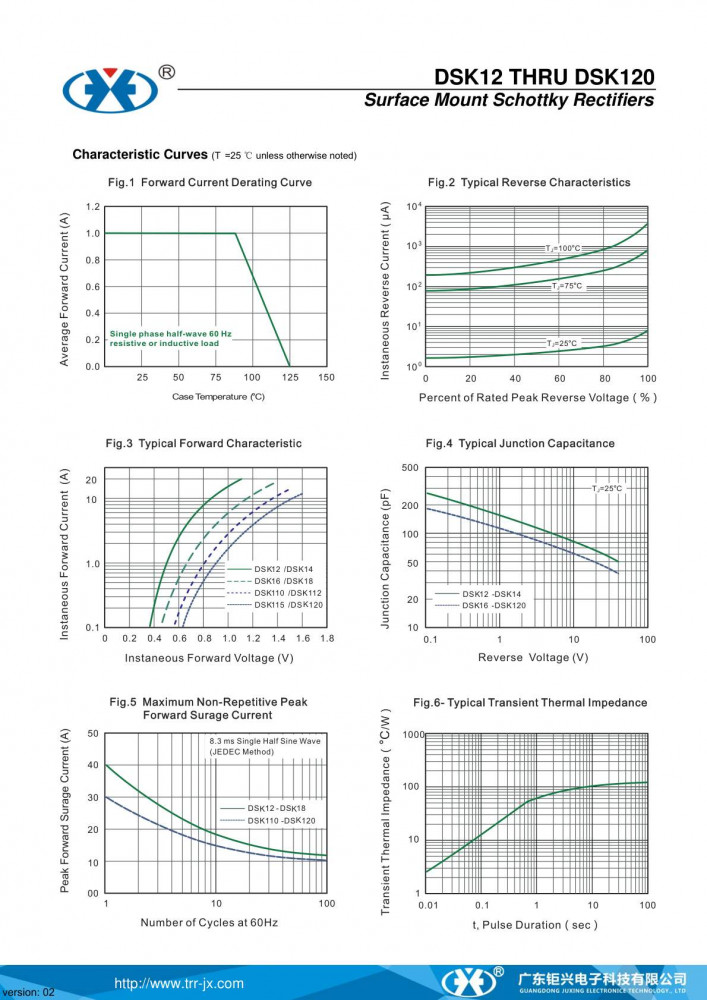 DSK16 datasheet page 2