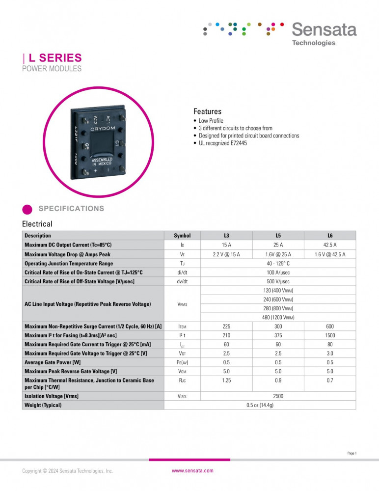 L-Series power module datasheet page 1