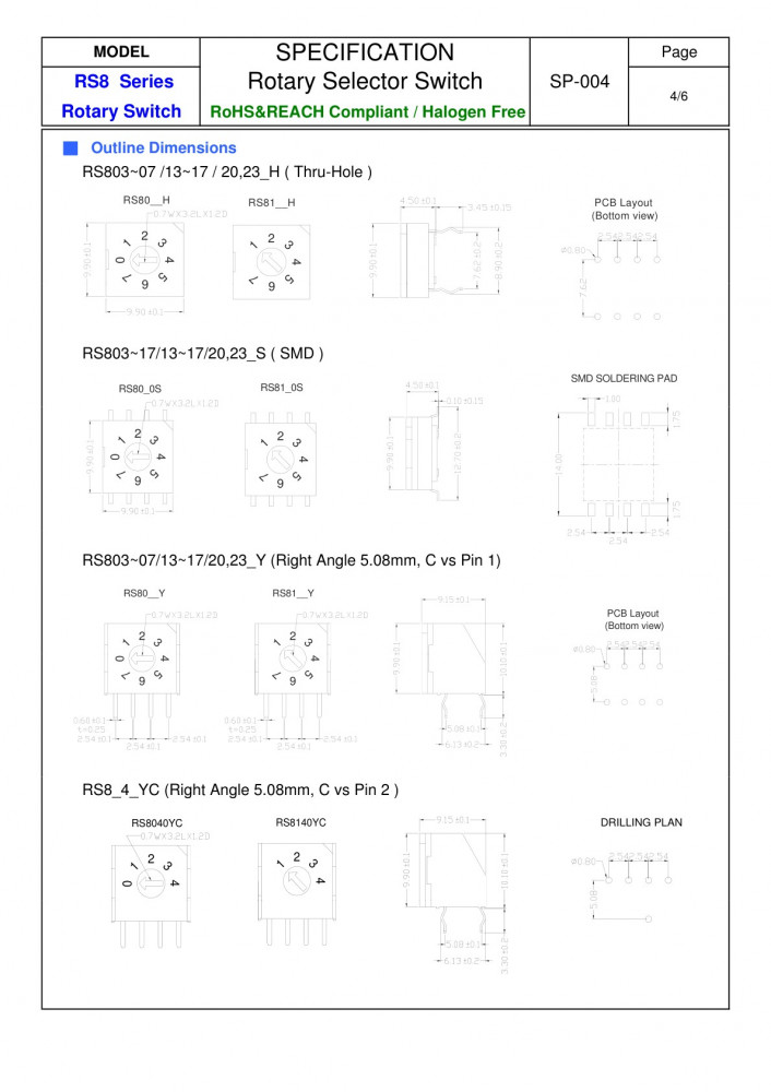 BIWIN RS8 datasheet page 4
