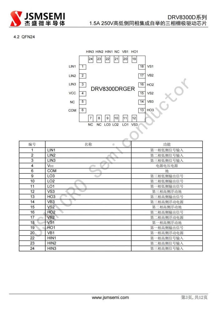 DRV8300DRGER-JSM datasheet page 3